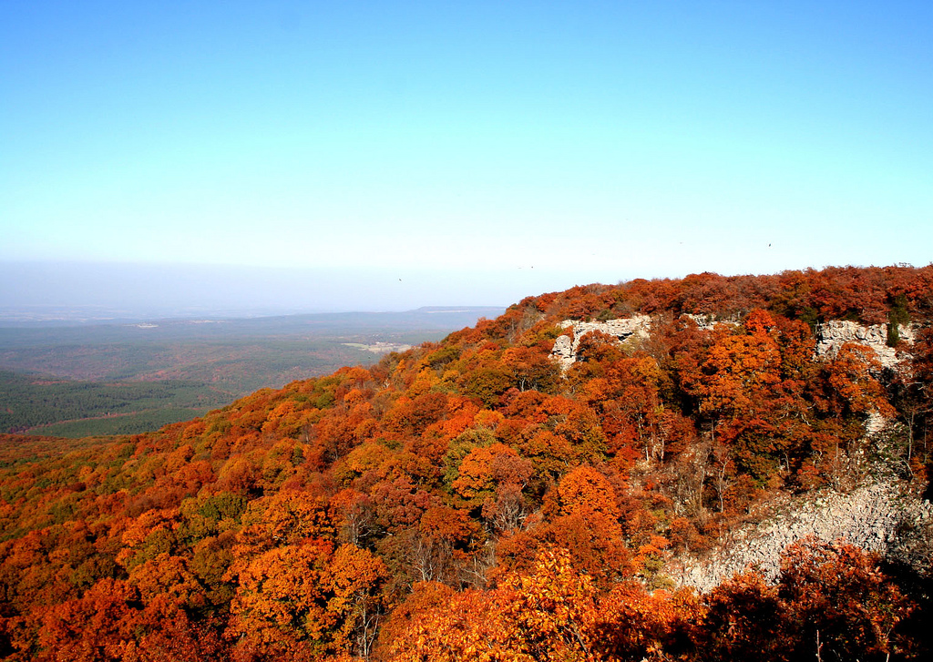 When To Expect Peak Fall Foliage In Arkansas