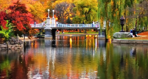 When And Where To View Fall Foliage In Boston