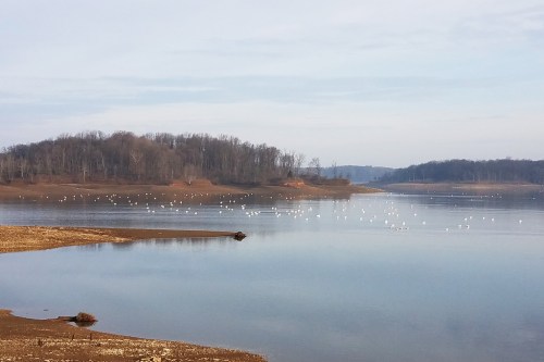 7 Best Lakes Near Indianapolis To Visit
