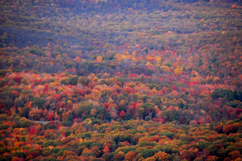 This Year's Pennsylvania Fall Colors Map Is Finally Here!