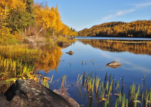 Here Are The Best Times And Places To View Fall Foliage In Alaska
