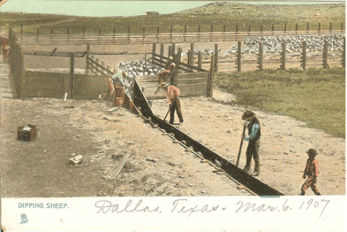 Check Out These 17 Old Pictures of Dallas, Texas
