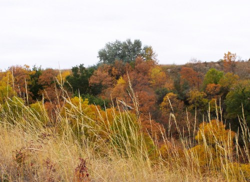 Best Times And Places To View Fall Foliage In North Dakota