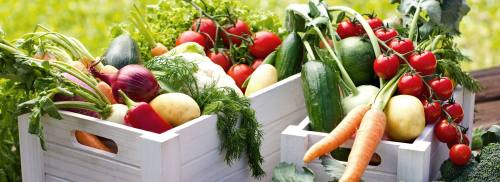 Swap-o-Rama Is The Biggest and Best Flea Market In Illinois