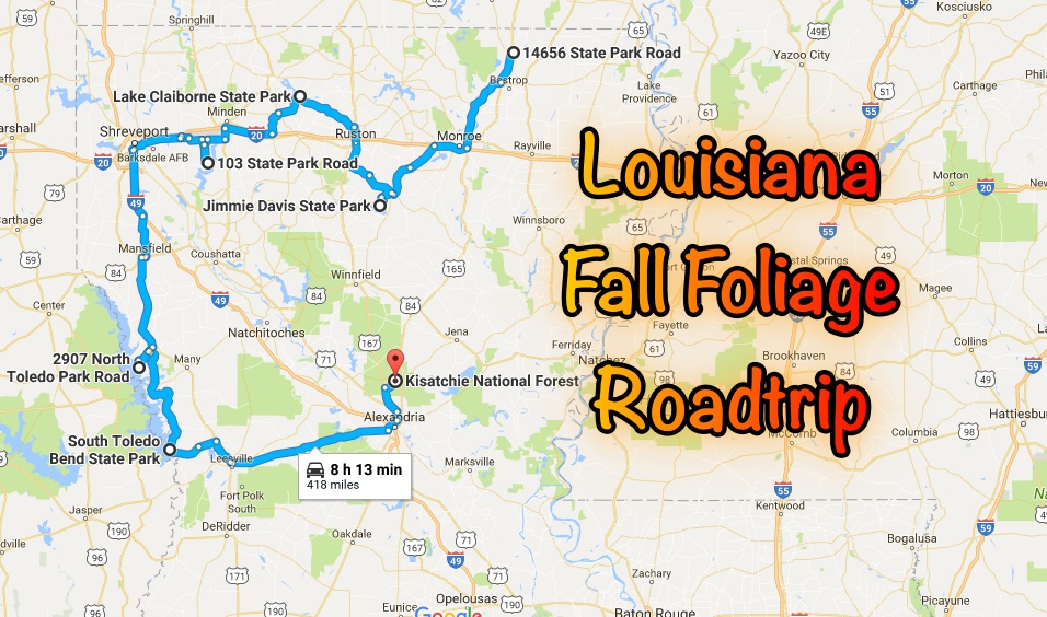 This Road Trip Will Take You To The Best Fall Foliage In Louisiana
