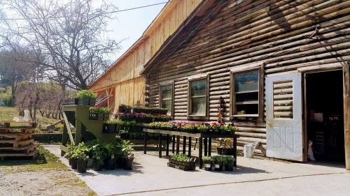 4 Cider Mills In Maryland To Visit This Fall