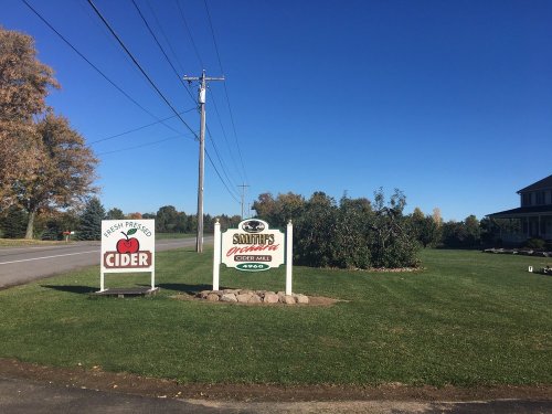 Go Apple Picking in Buffalo NY At These 8 Apple Orchards