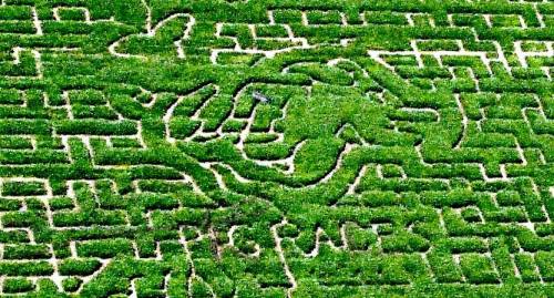 Get Lost In These 6 Awesome Corn Mazes In New Mexico This Fall