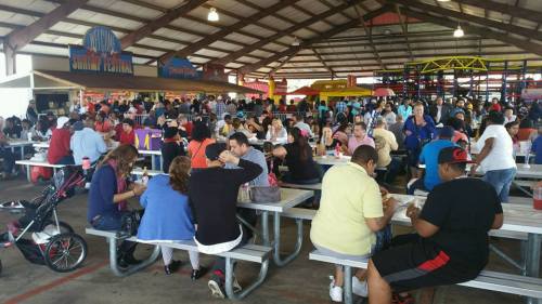 Traders Village In Grand Prairie: The Best Flea Market In Texas