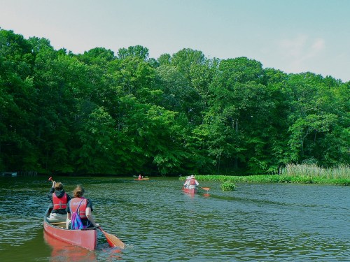 Explore Delaware's Most Beautiful Places: Gardens, Parks & Refuges