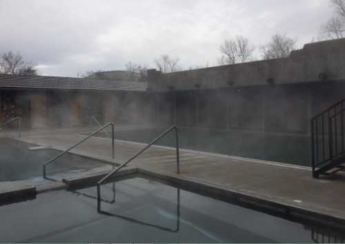 Alligators Live At Miracle Hot Springs In Buhl Idaho