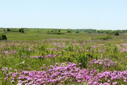 Discover Missouri's Top 10 Scenic Spots