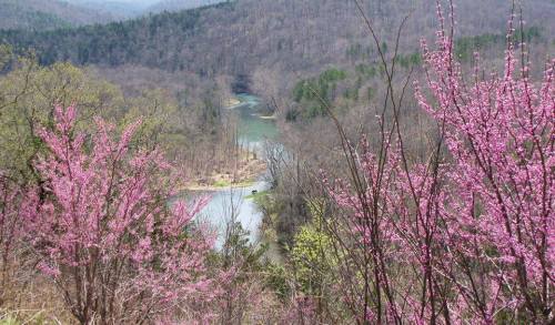 The Blue Spring In Missouri That's Devastatingly Gorgeous