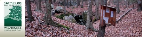 Discover 7 Hidden Gems in Connecticut Worth Exploring