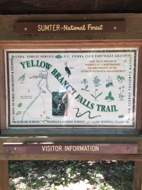 Best Hikes In South Carolina: Yellow Branch Waterfall Trail