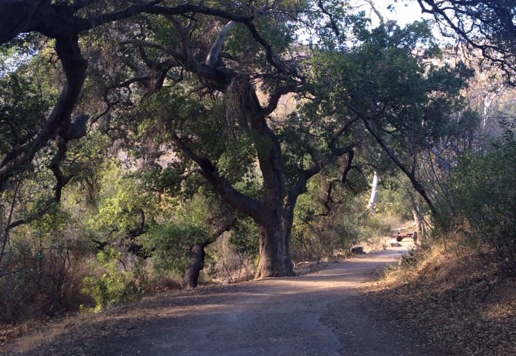Solstice Canyon: One Of The Best Hikes In Southern California