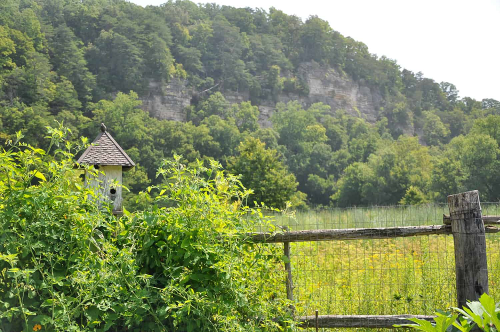 The White Bluff Screamer Is a Terrifying Tennessee Myth