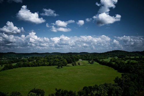 The White Bluff Screamer Is a Terrifying Tennessee Myth