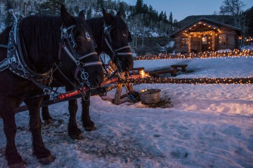 Estes Park Sleigh Rides And More: 5 Great Rides Near Denver