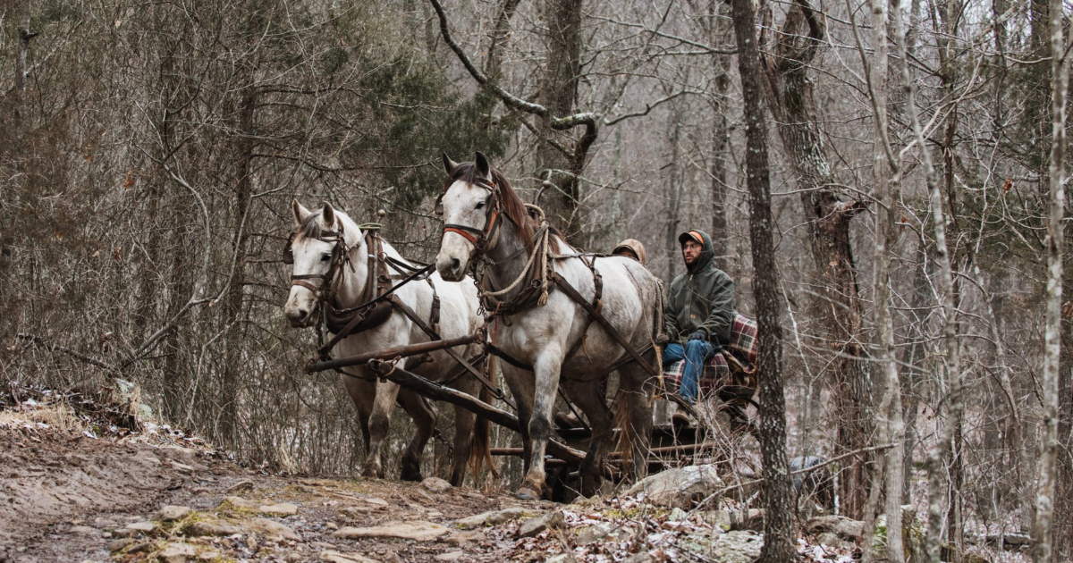11 Arkansas Winter Attractions That Are Perfect For Families