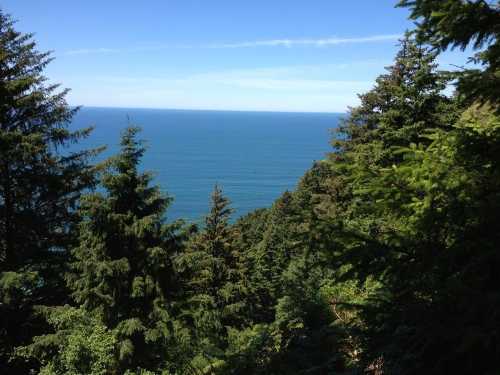 Cape Perpetua Photos: See This Jaw-Dropping Magical Hike