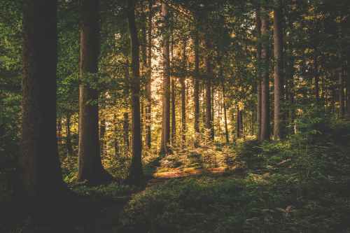 8 Of The Most Terrifying Alabama Urban Legends