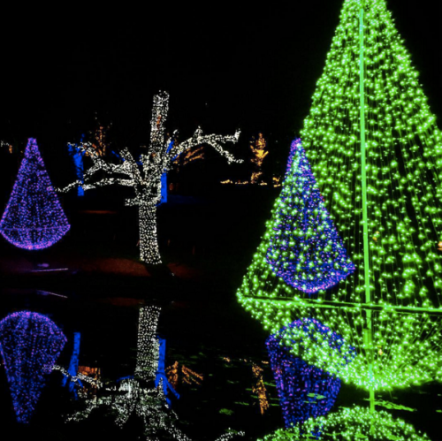 11 Of The Best Places To Visit In Tennessee In Winter