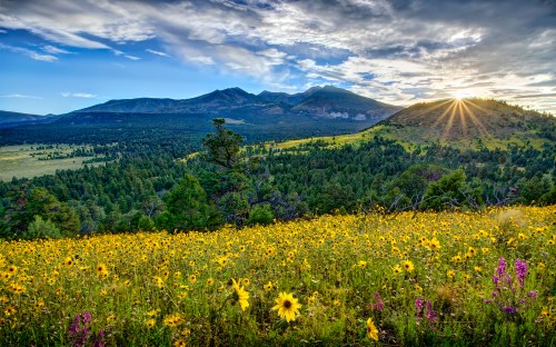 Explore the Serene Beauty of the American Countryside