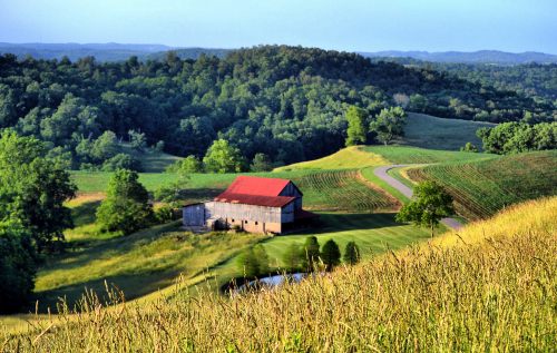 Explore the Serene Beauty of the American Countryside