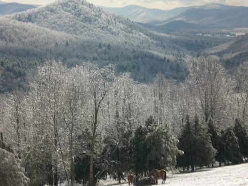 9 Adorable Ways To Spend Winter In Virginia For A Magical Time