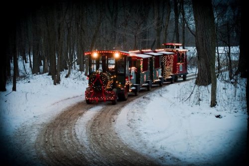 9 Best Things To Do For Christmas In Michigan