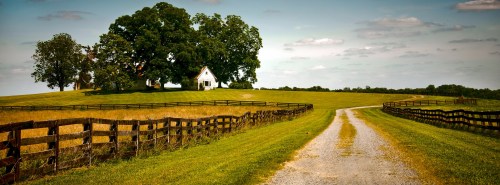 Explore the Serene Beauty of the American Countryside