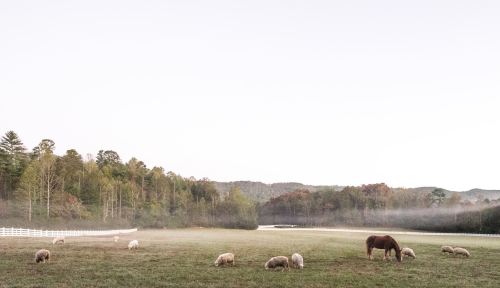 11 Of The Best Places To Visit In Tennessee In Winter