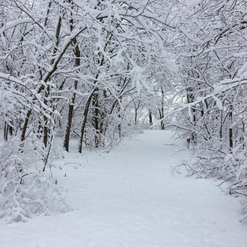 These Are The Best Places To Visit In Nebraska In Winter