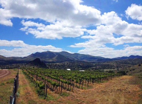 7 Best Texas Wineries In And Near Dallas/Fort Worth