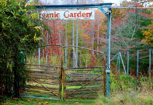 Things To Do On The Farm In Tennessee: The Most Hippie Town