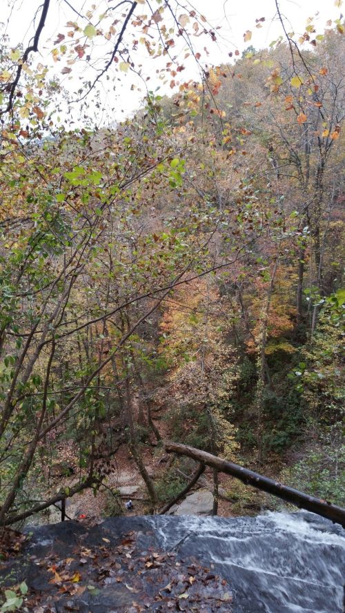 Issaqueena Falls Trail Is One Of The Easiest Waterfall Hikes In SC