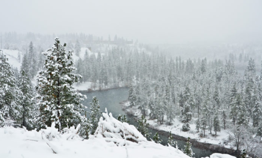 It’s Impossible To Forget These 7 Incredible Winter Storms In Washington