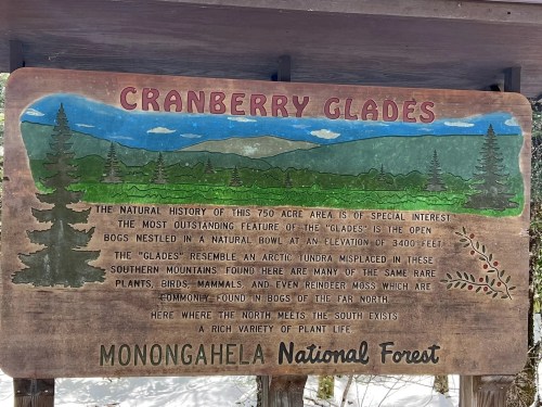 Best Time To Visit Cranberry Glades, West Virginia's Exotic Place
