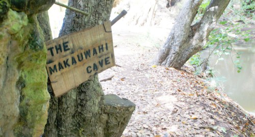 The Incredible Makauwahi Cave In Hawaii Is Full Of Ancient Fossils