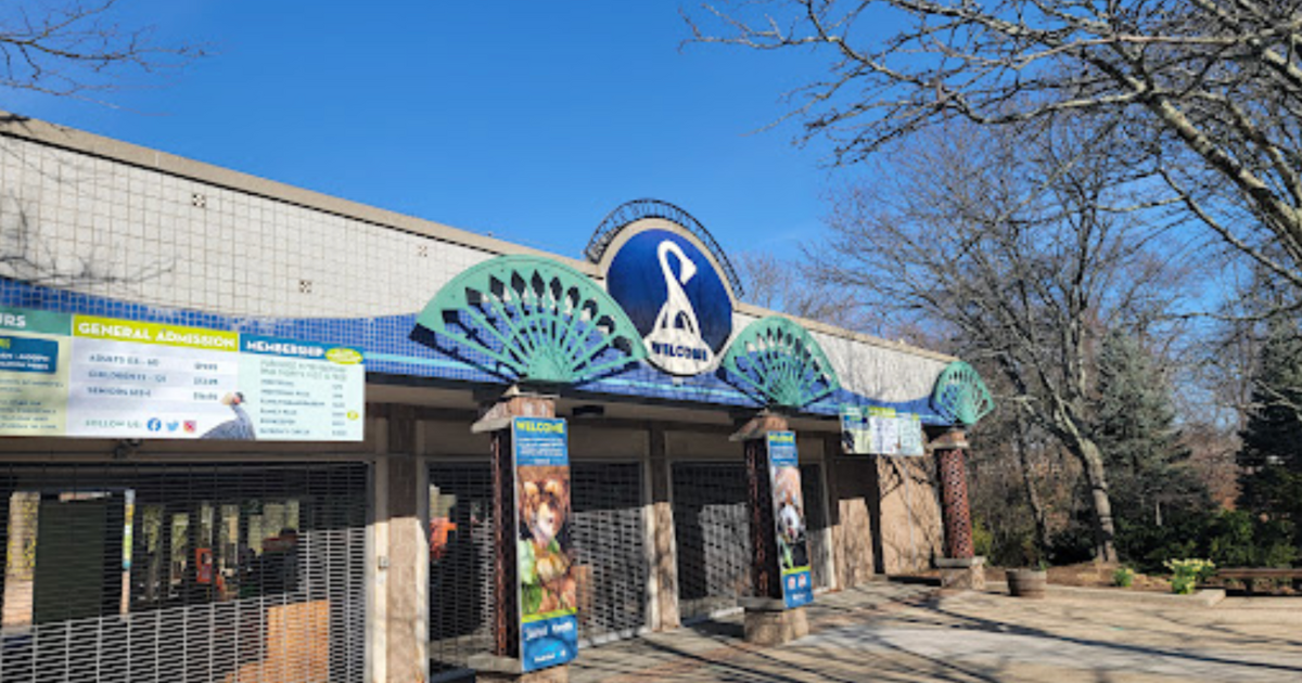 Roger Williams Park Zoo: Family Day Trip In Rhode Island