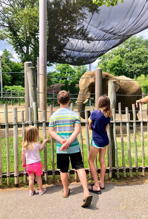 Roger Williams Park Zoo: Family Day Trip In Rhode Island