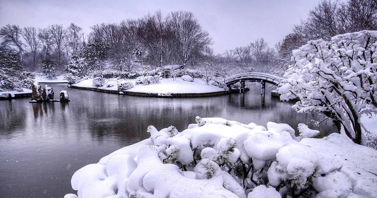 11 Snoozeworthy Things To Do In St. Louis In Winter