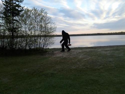 Discover Things To Do In Remer, Minnesota