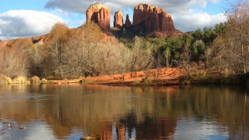 Things To Do In Springtime: Best Hiking Trails In Arizona