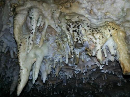 Caves In Iowa: You Must Explore Crystal Lake Cave At Least Once