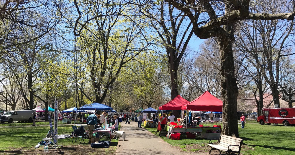 7 Spring Festivals In Connecticut To Check Out This Year