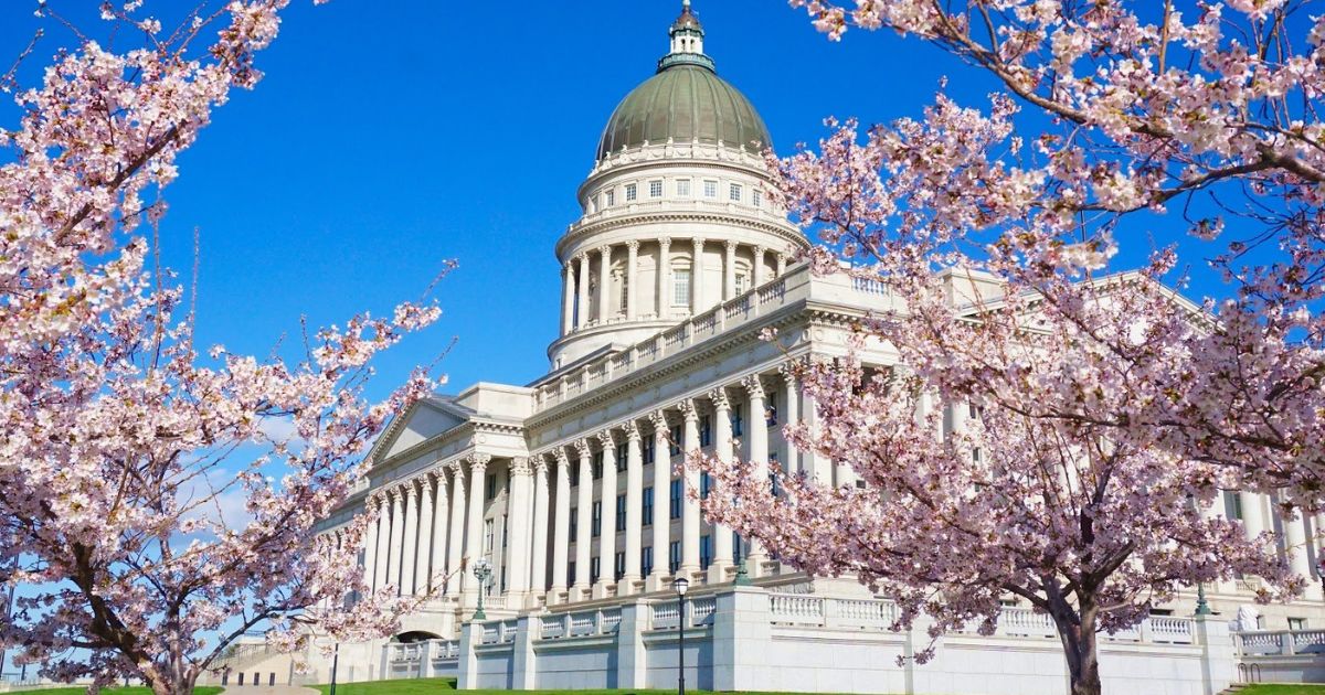 Hundreds Of Cherry Blossoms Mark The Arrival Of Spring In Utah