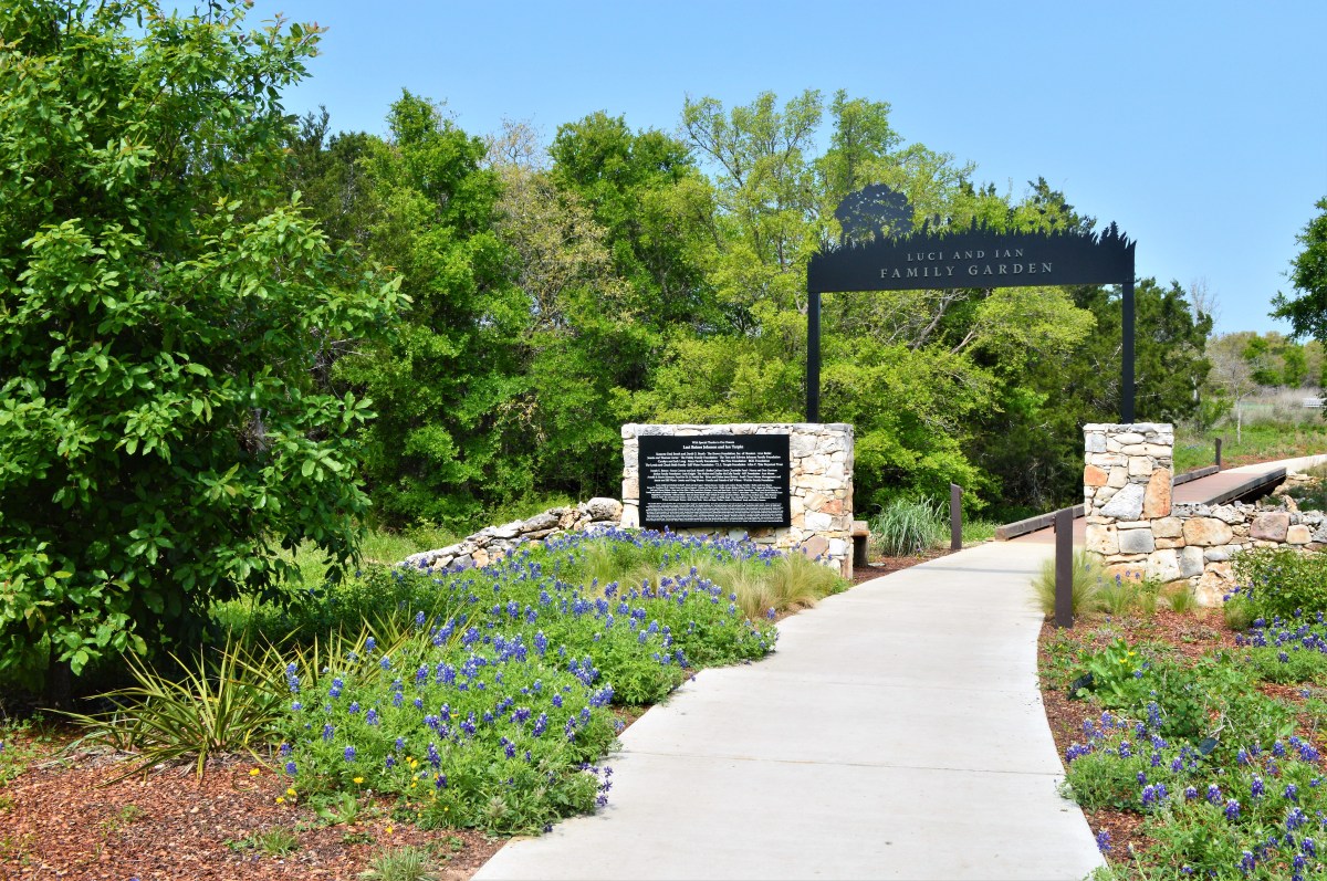 9 Of The Best Hikes In Austin To Do This Spring