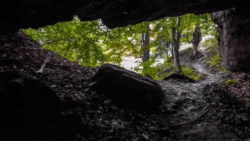 The Sinks of Gandy In West Virginia Is The Best Little-Known Cave